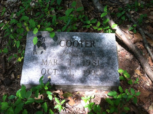Photo Finish: Pictures That Stay With Me | Adventures in Cemetery Hopping