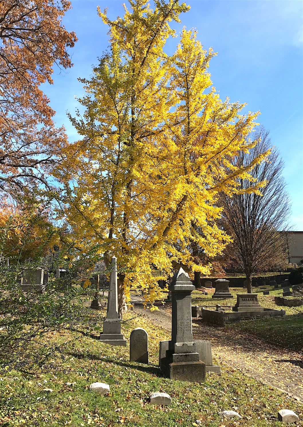 The Passing Tribute of a Sigh: Discovering Knoxville’s Old Gray ...