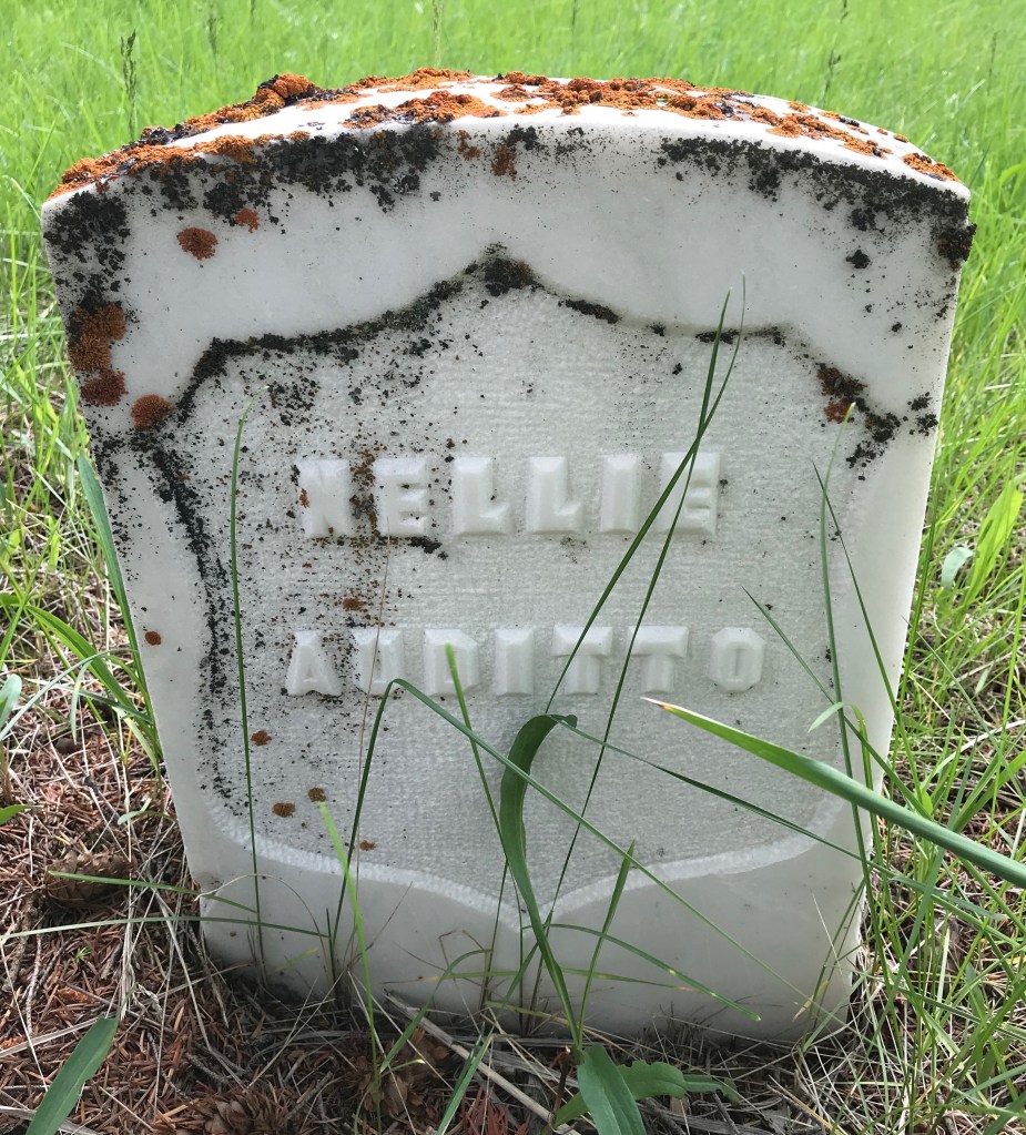 Yellowstone National Park Adventures: Visiting Wyoming’s Fort ...