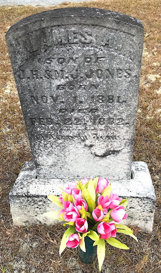 Adventures in Cemetery Hopping | A blog by Traci Rylands